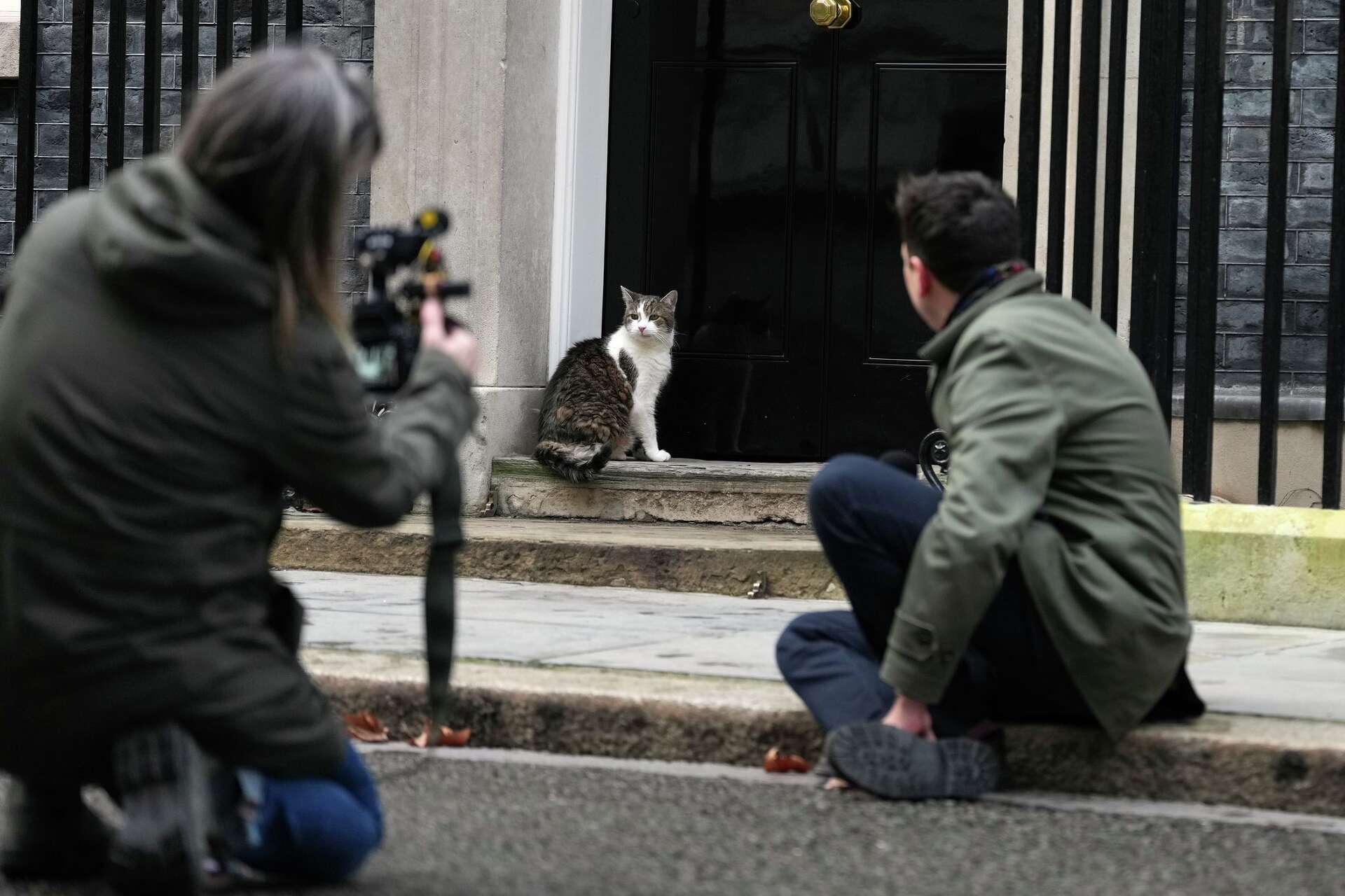 ‘First feline’ Larry marks 15 years as Britain’s political top cat