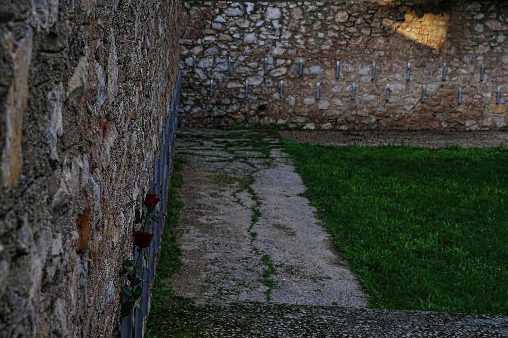 Greece will seek to obtain Nazi execution photos offered for sale online