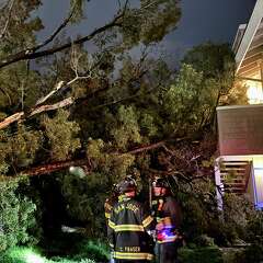 SJ: Tree Falls Onto Apartment Building
