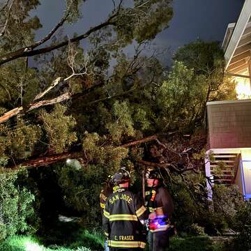 SJ: Tree Falls Onto Apartment Building