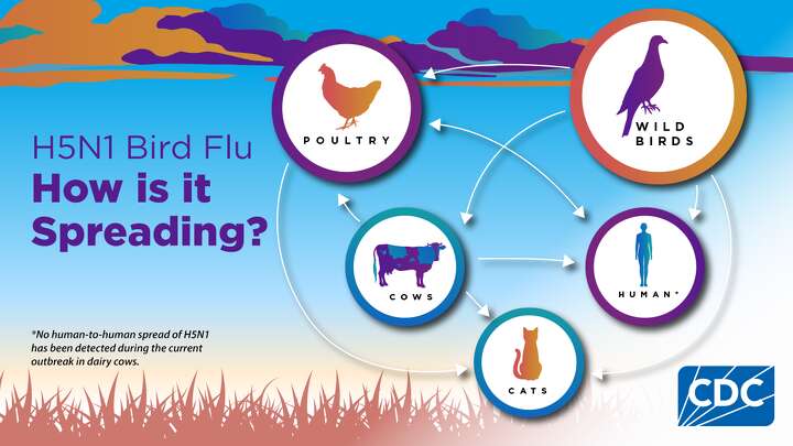 Texas bird flu: TPWD warns Amarillo and Lubbock residents