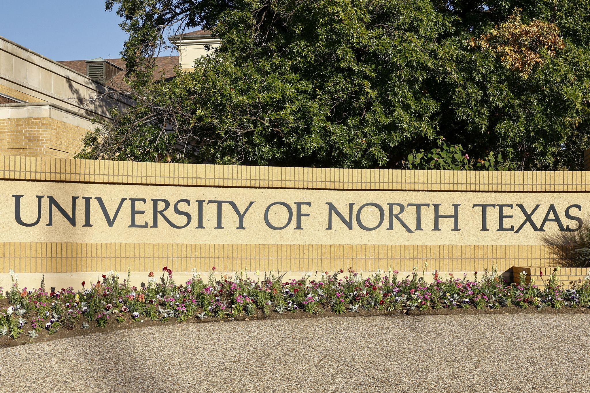 University of North Texas to cut over 70 programs and minors