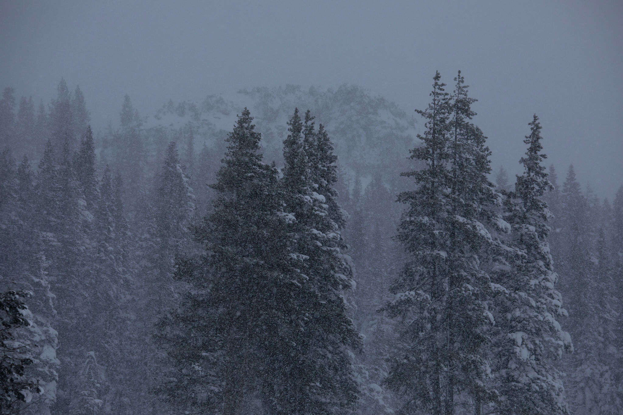 Bay Area storm brings damaging winds, cold morning