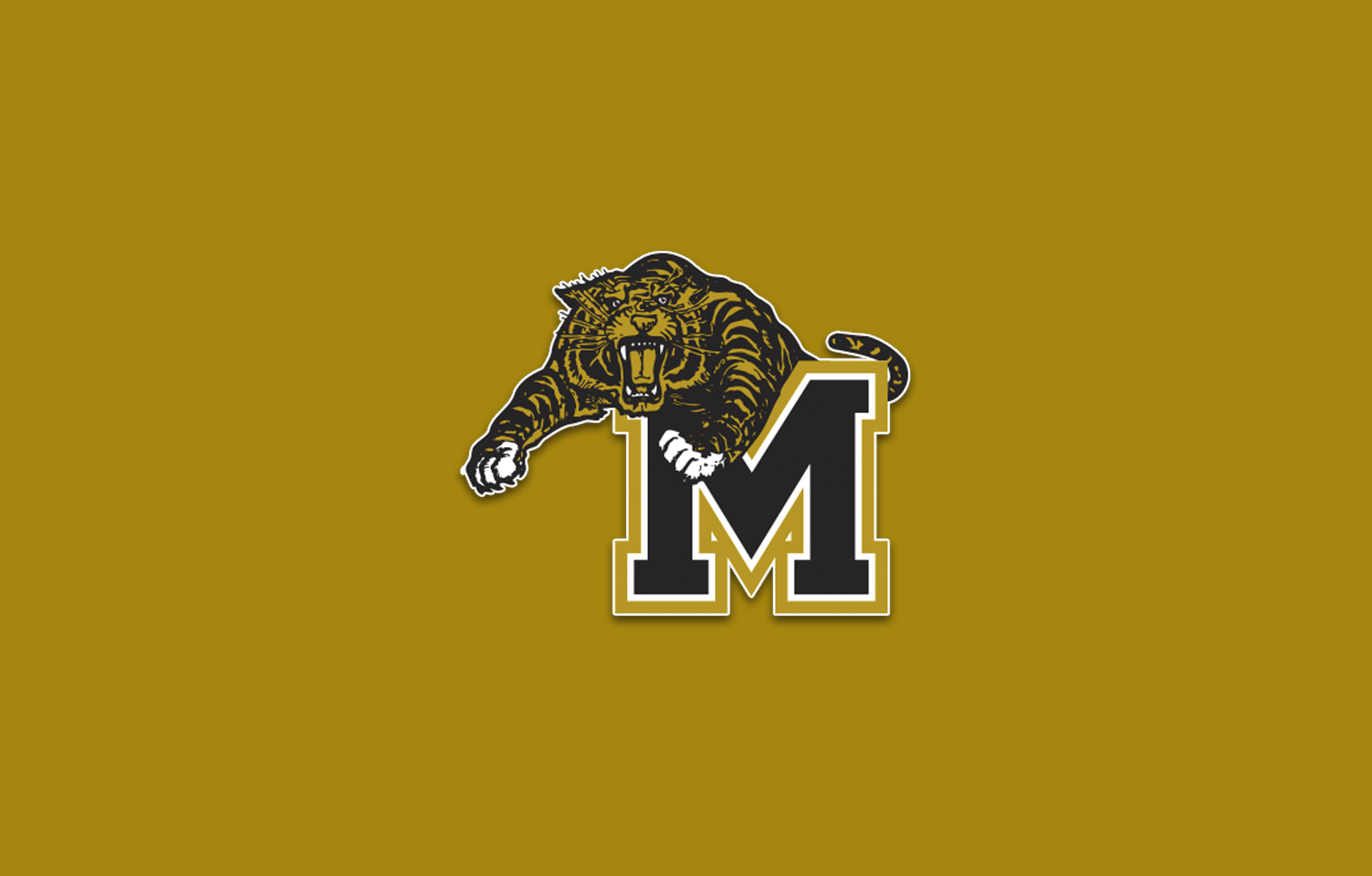Brooke Brittain is leaving Arlington Martin to become girls basketball ...