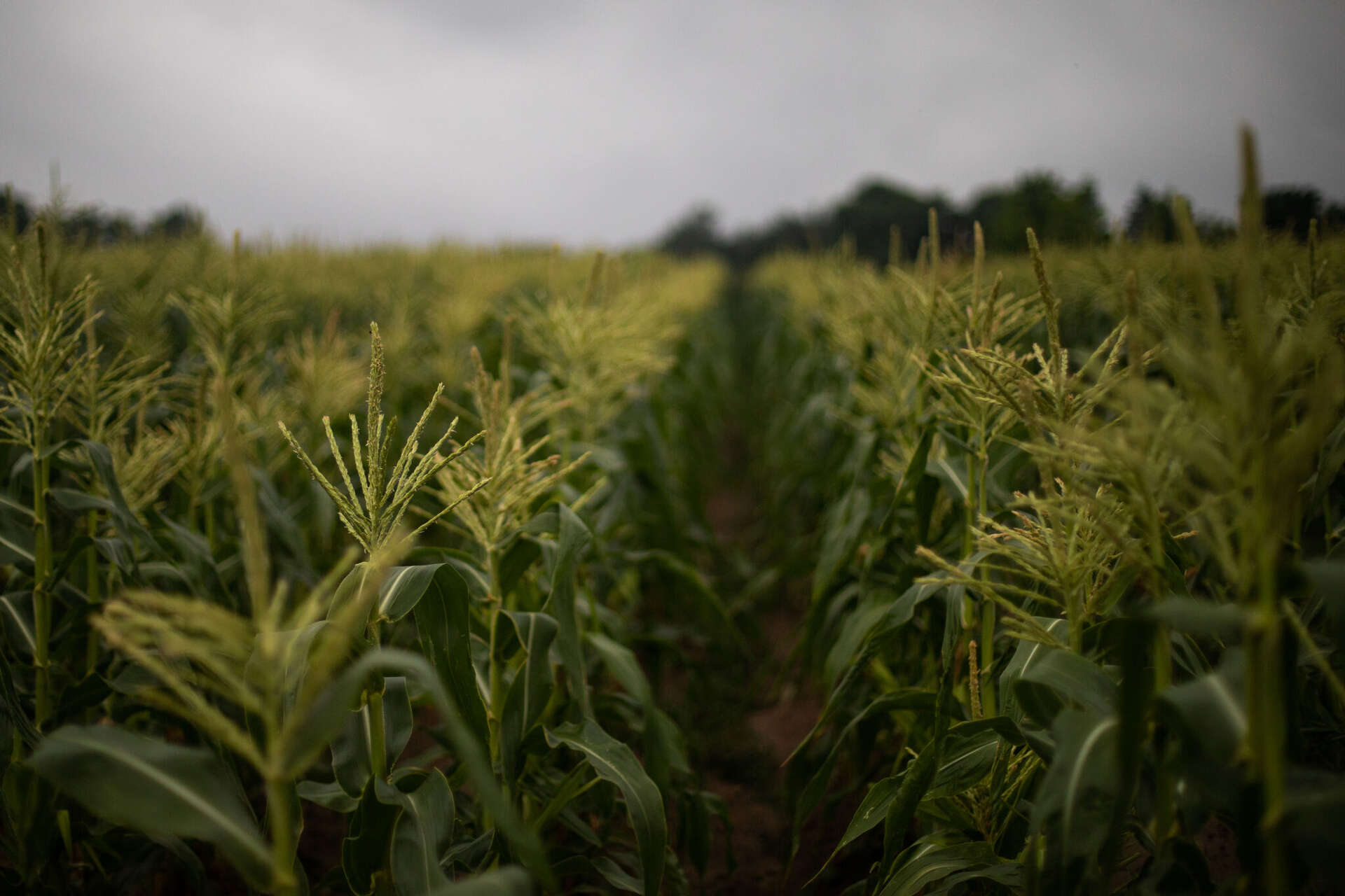 Shifting farm economy means changes for rural communities