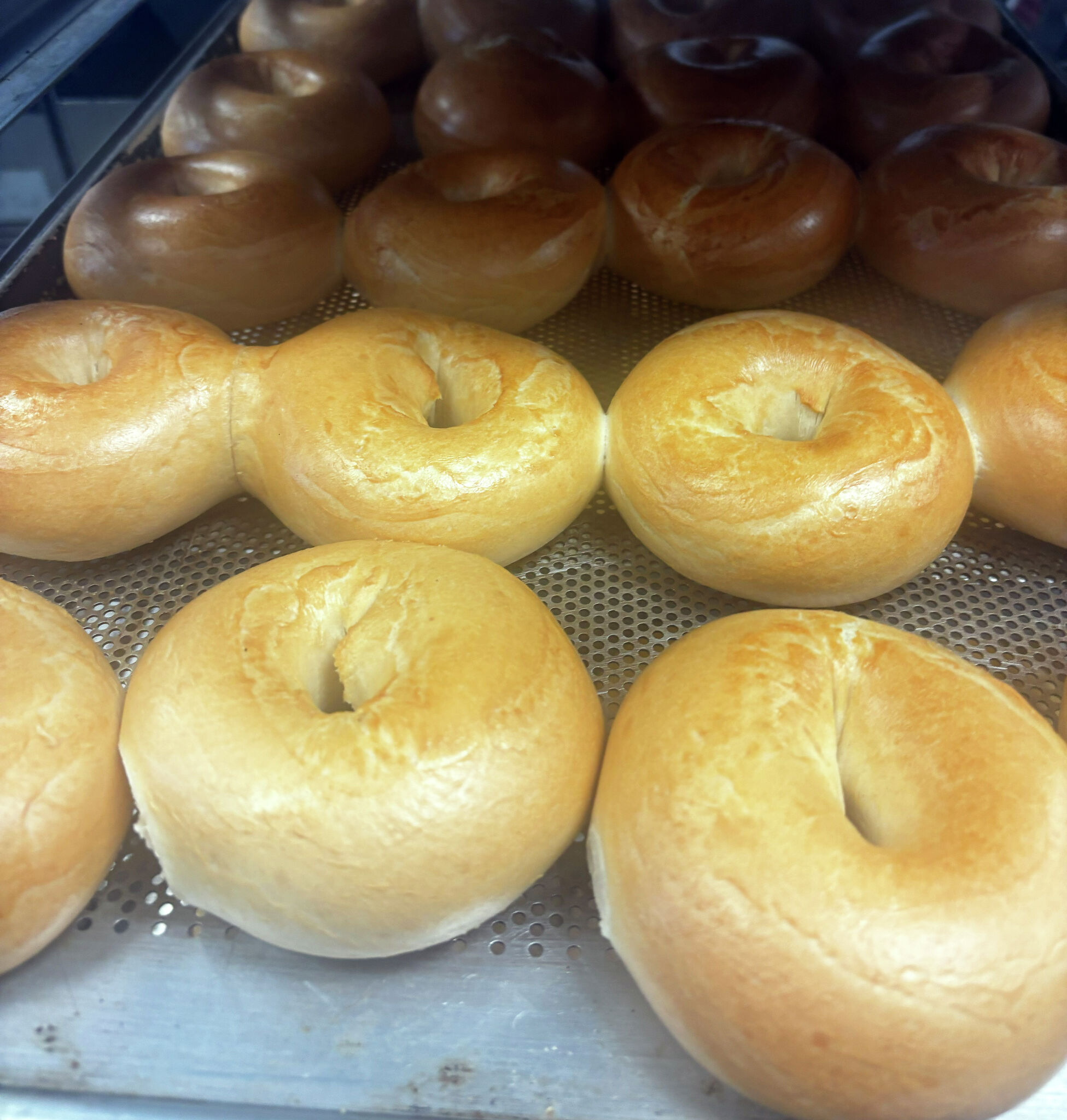 Woodbridge Daily Bagel opens March 5 with ribbon cutting