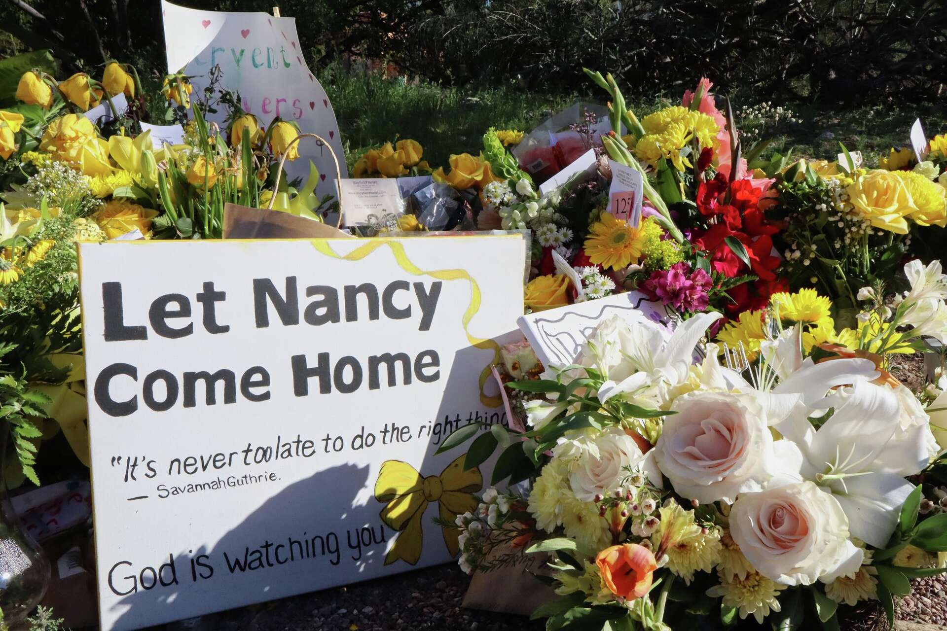 Volunteers scour the desert for Nancy Guthrie despite authorities ...