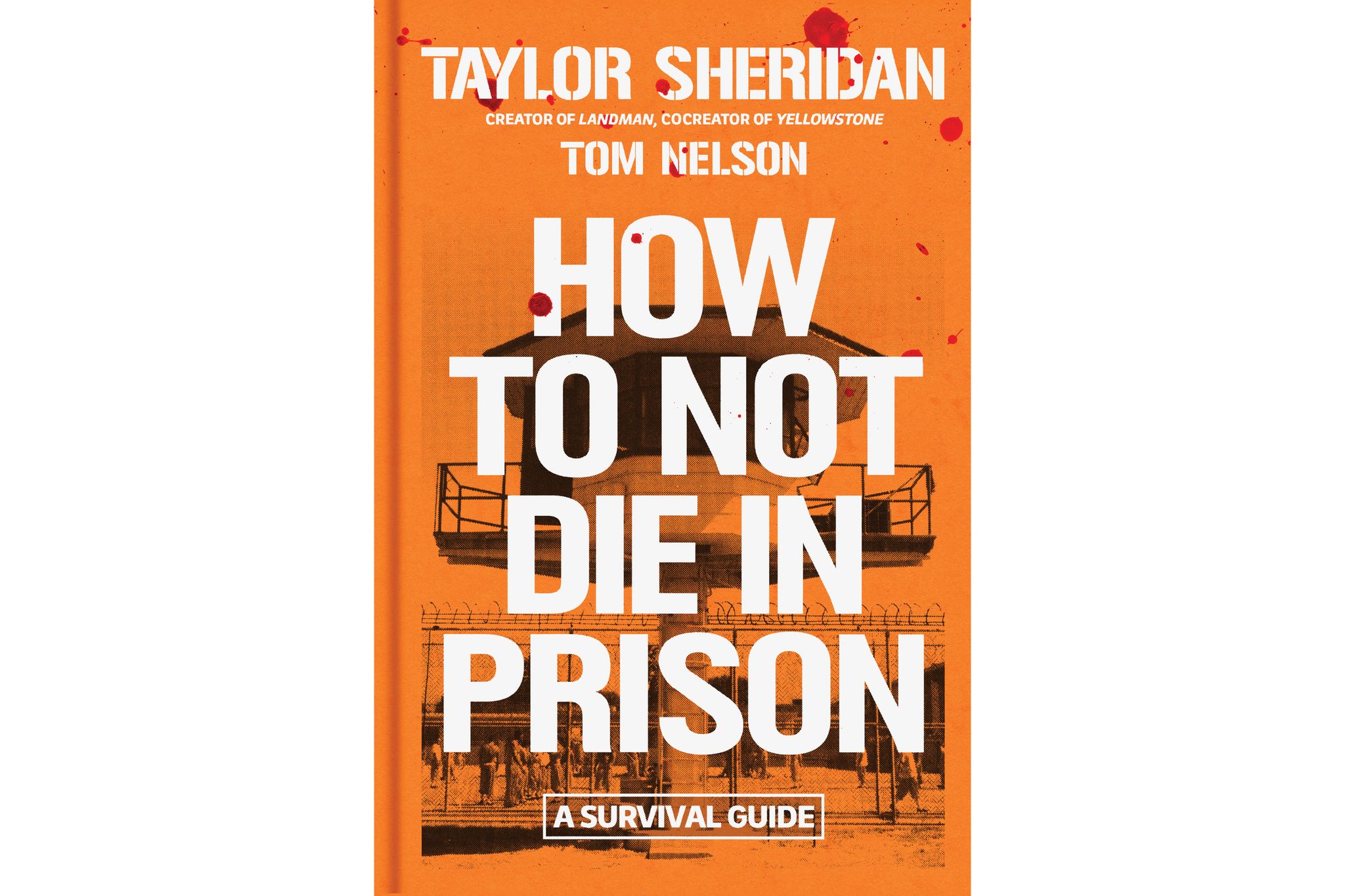 Taylor Sheridan has never been to prison. His new book still maps how ...