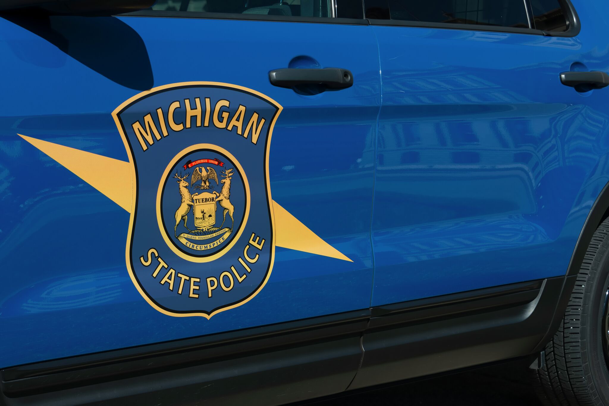 Michigan woman charged after Wexford County DUI crash