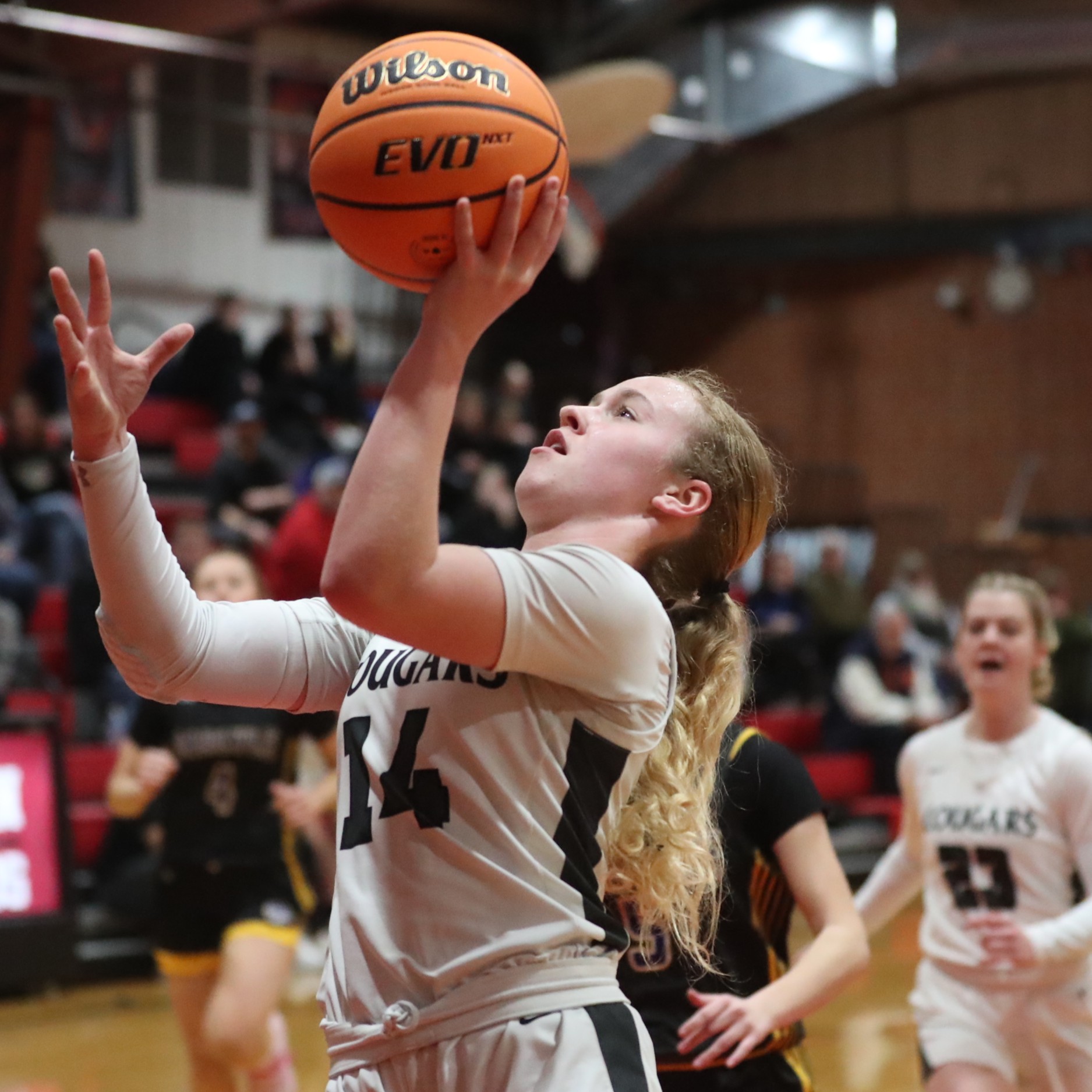 Ali Little scores 37 as West Central beats Carlyle