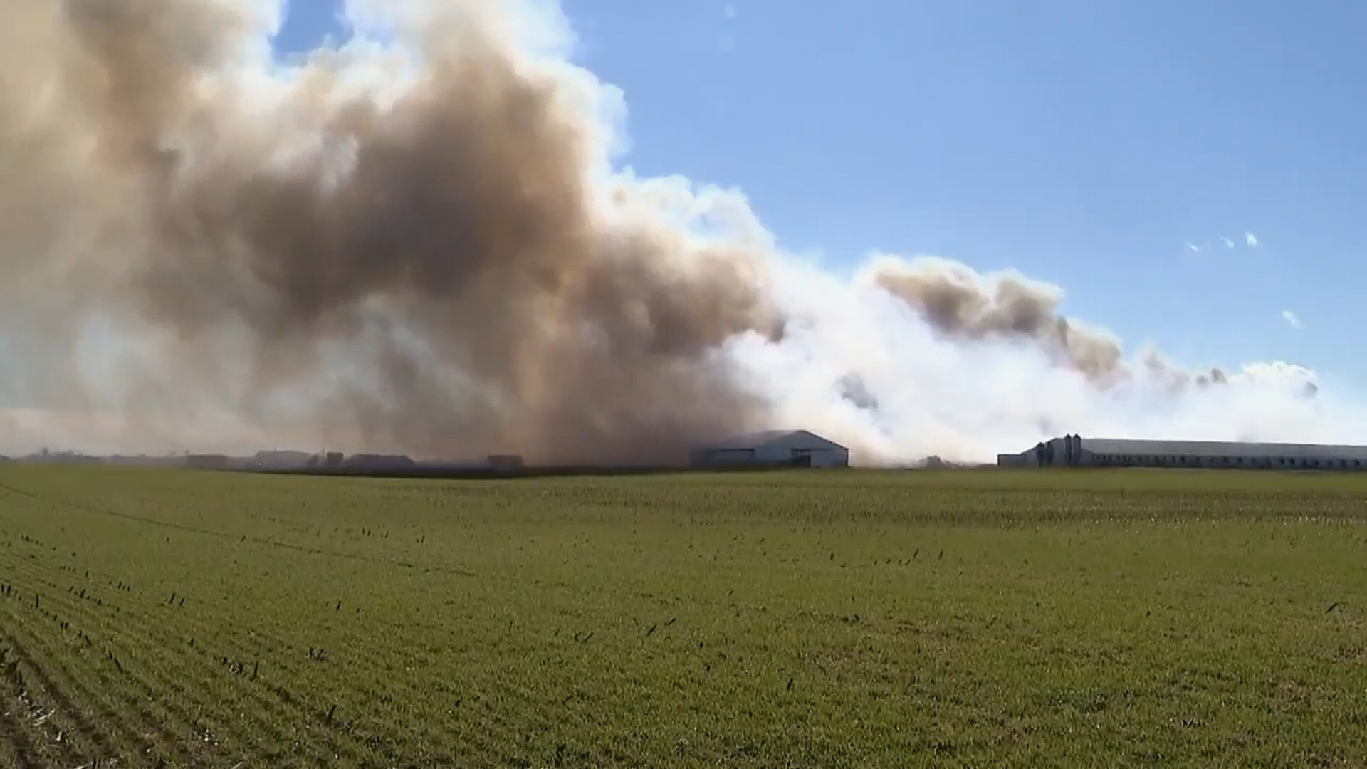Fire at an Ohio farm complex kills about 6,000 hogs and smoke is ...