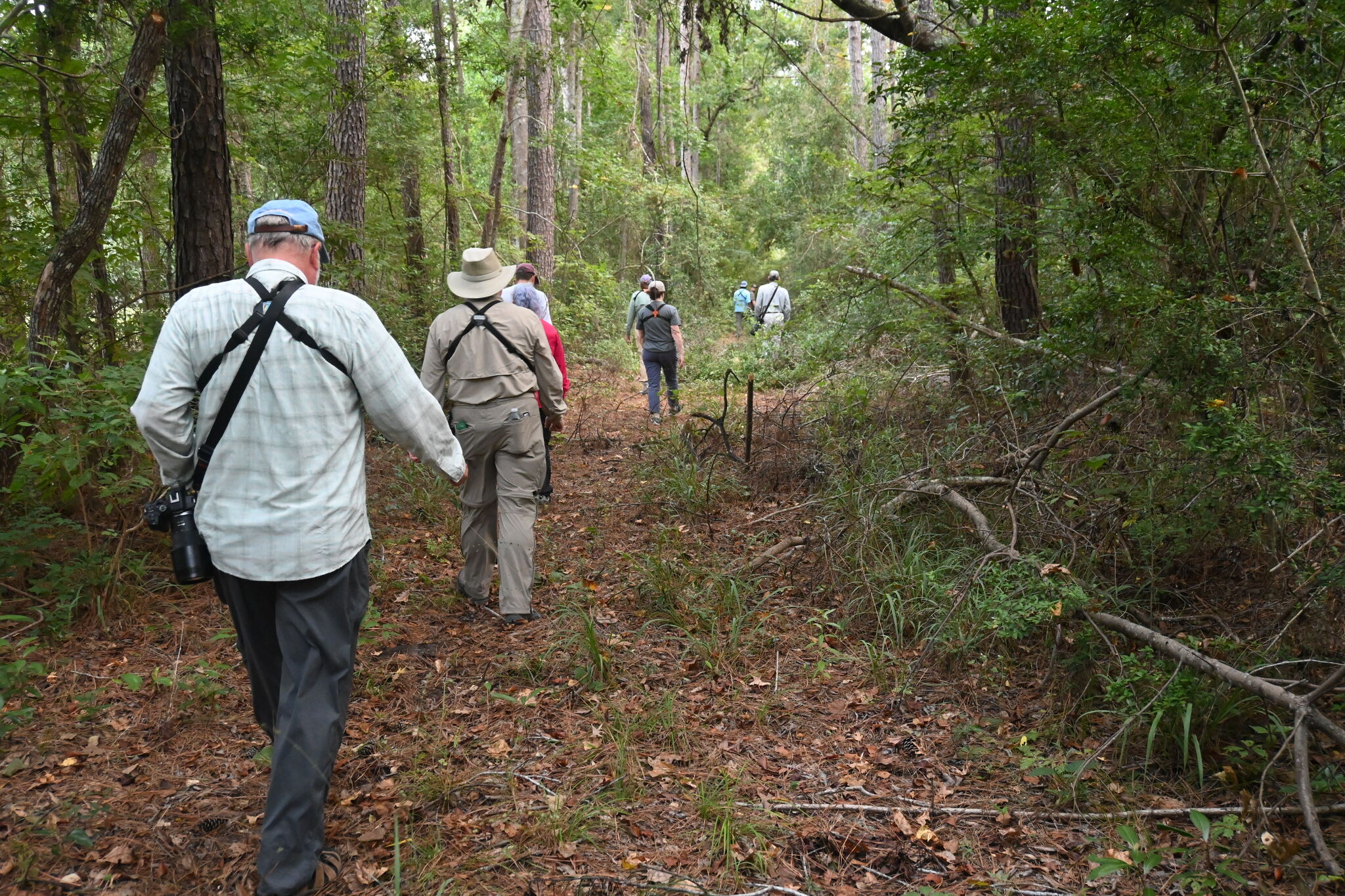 Houston Audubon announces a new 128-acre nature sanctuary