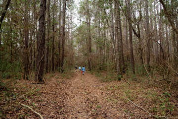 Houston Audubon announces a new 128-acre nature sanctuary