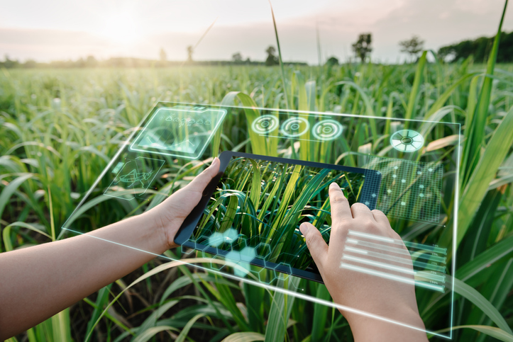 Deliver climate-smart ag at local level — Eliot Clay