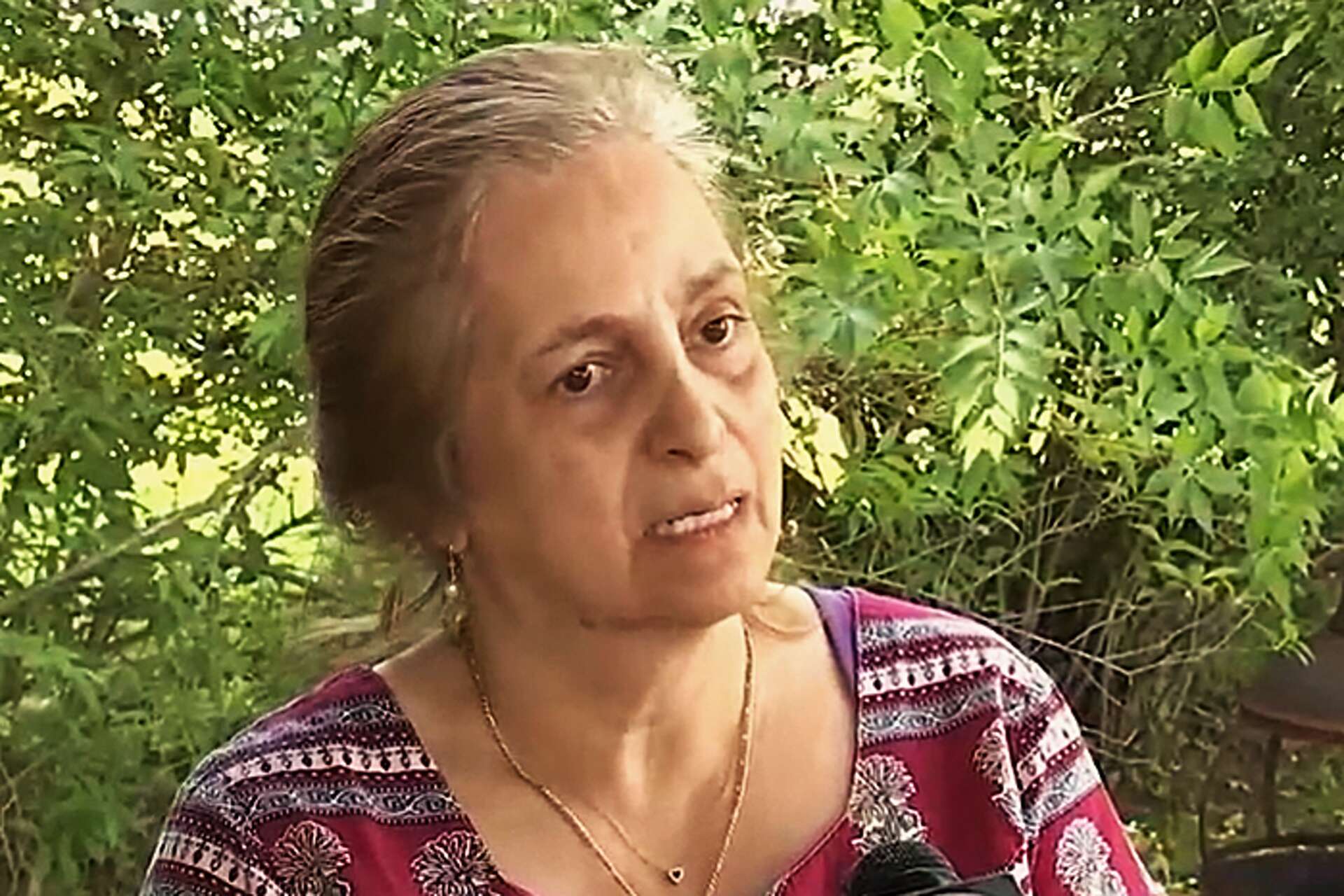 Hopeful voices of Iranian Americans color debate over strikes: Haar