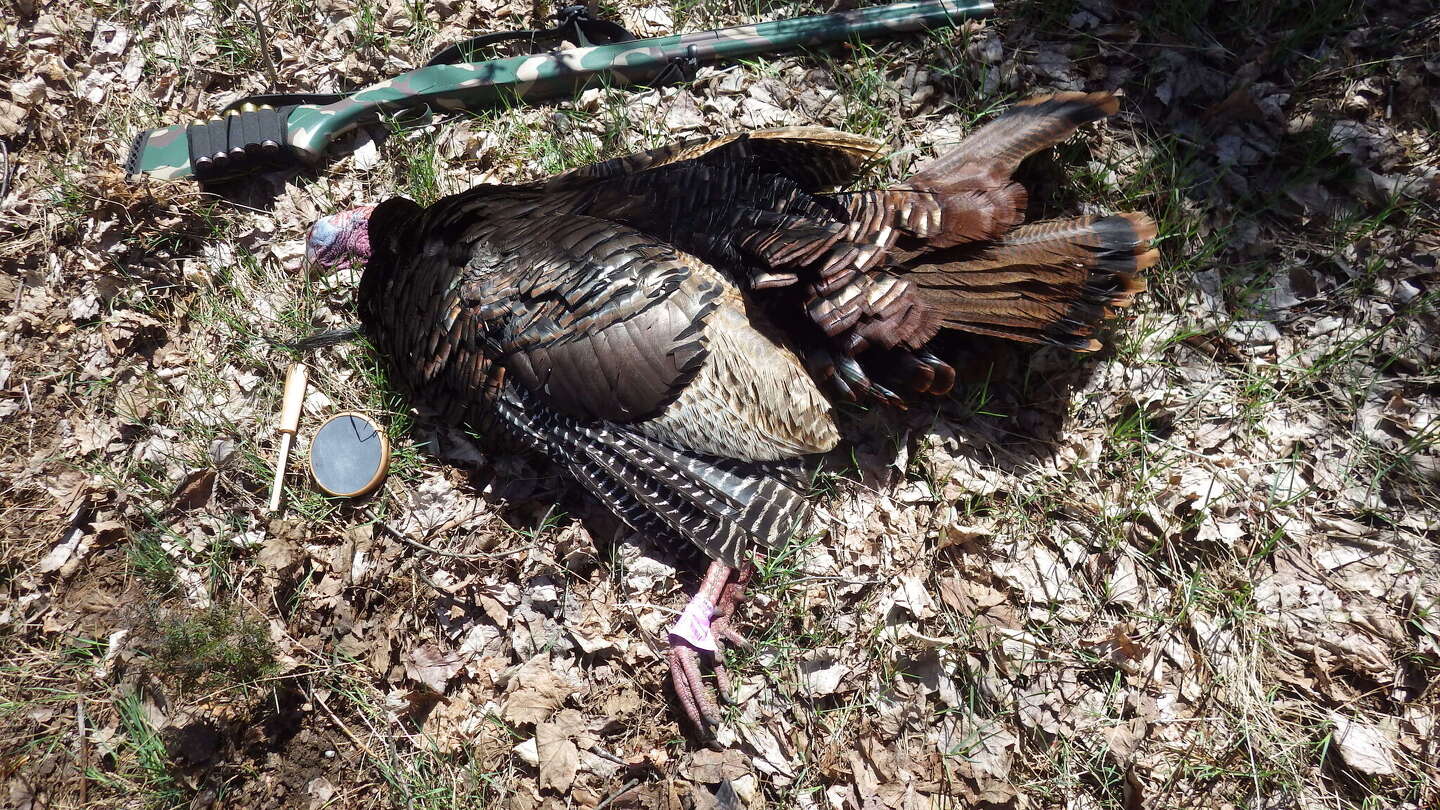 Michigan spring turkey 2026 rules change: what to know