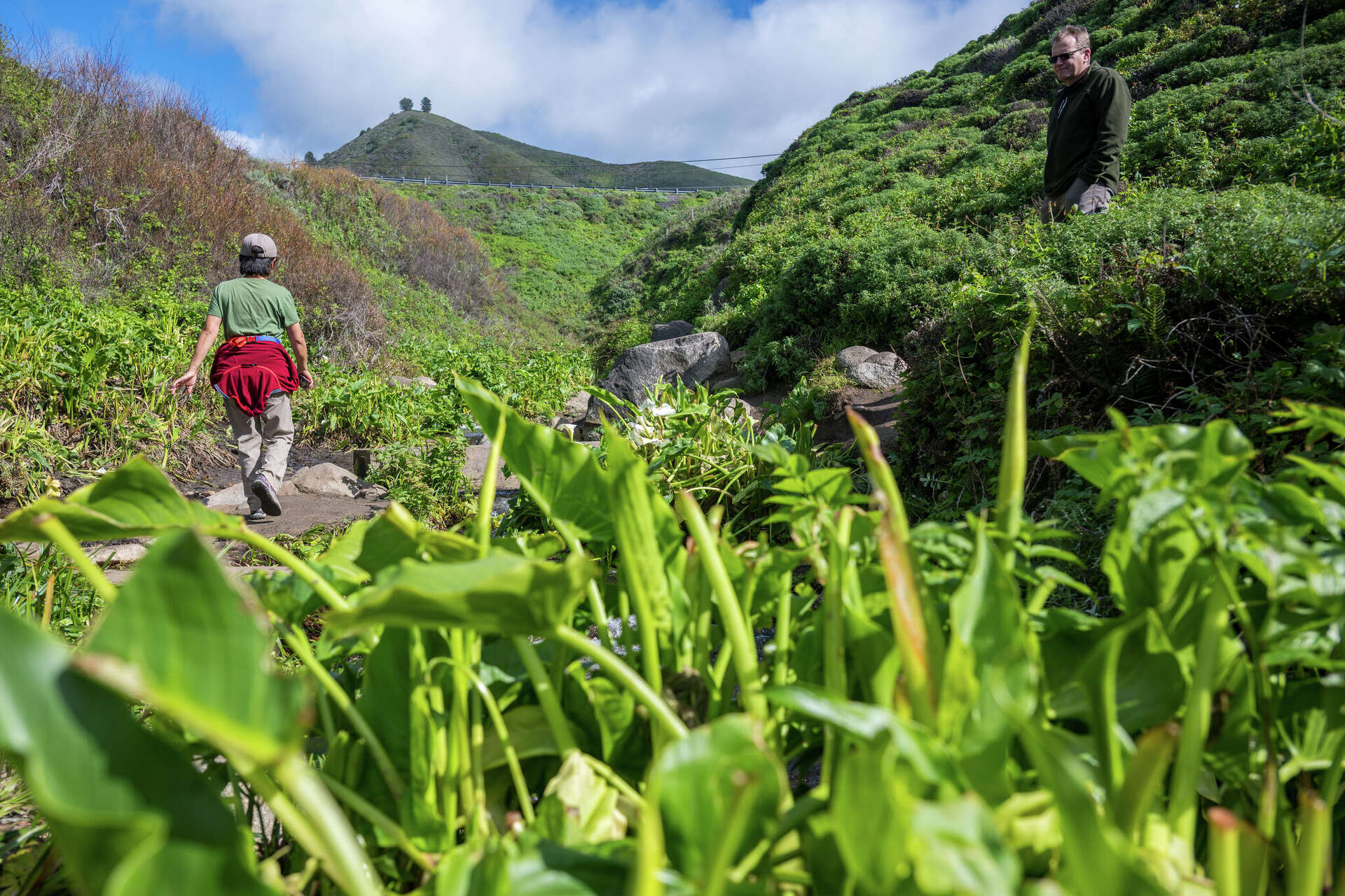 Big Sur’s famous flower valley was just destroyed — no one knows why