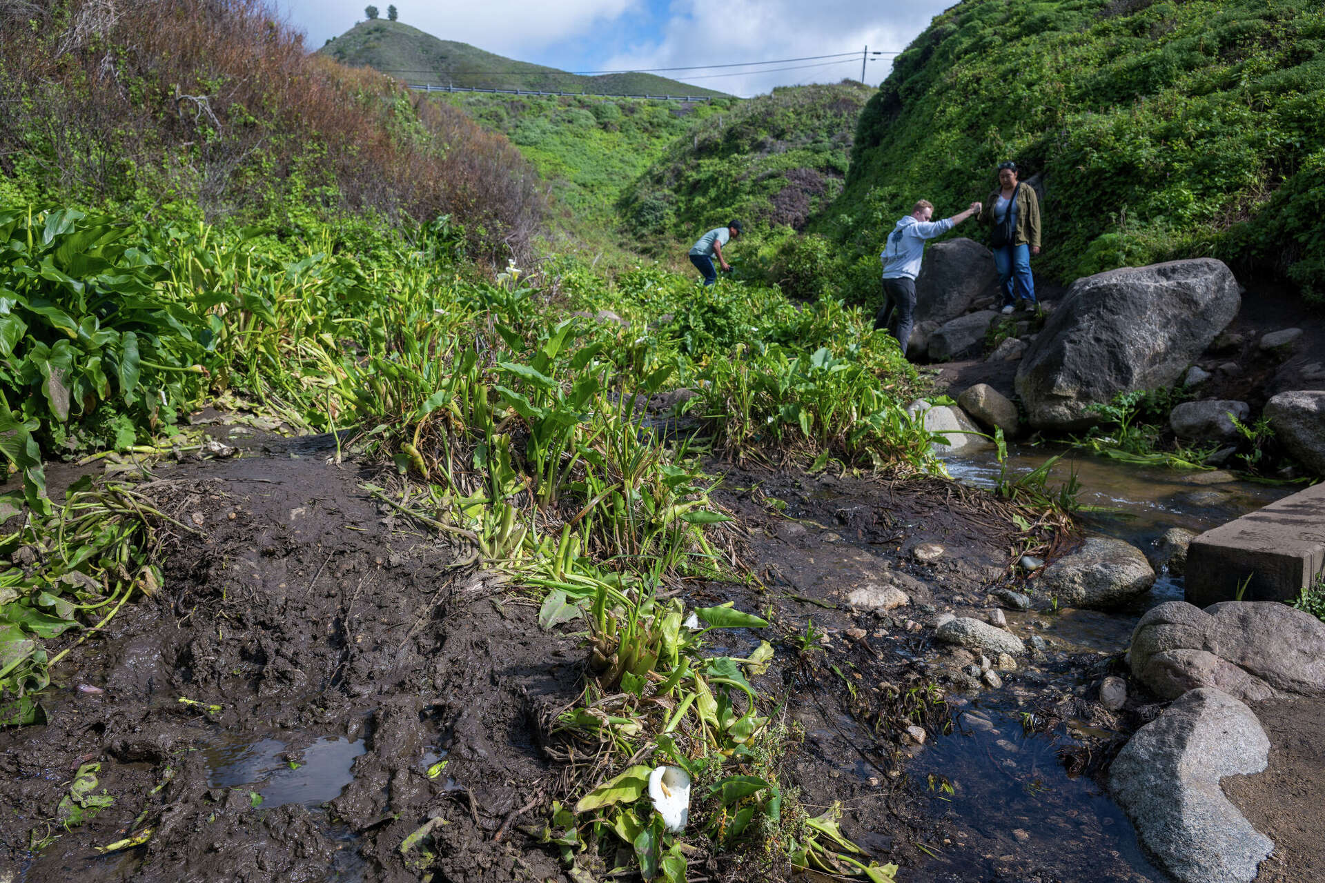 Big Sur’s famous flower valley was just destroyed — no one knows why