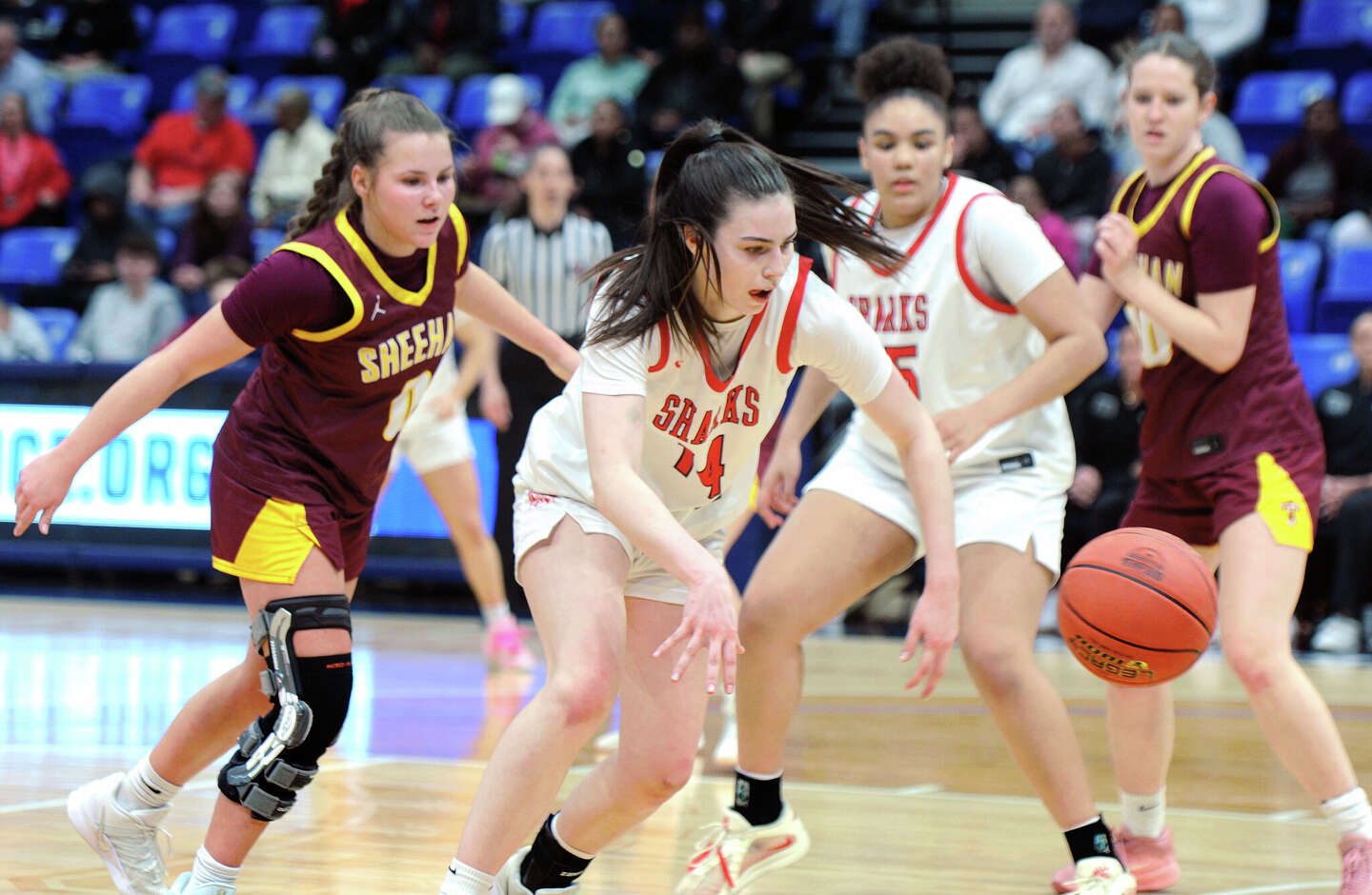 Sacred Heart Academy girls basketball fights past Sheehan in SCC final