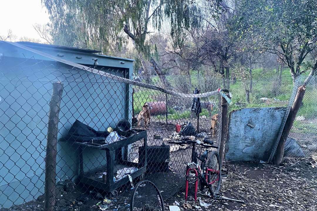 San Jose to clear its largest homeless camp -- again
