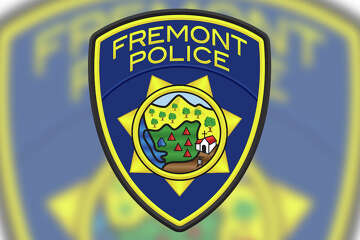 Fremont: Remains Of Dog Found In Fire On Bridge Tuesday