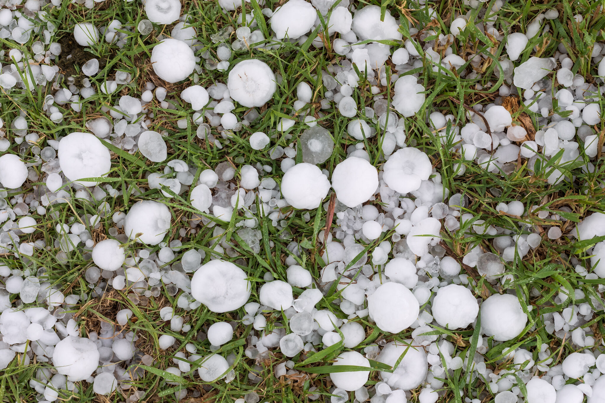 Large hail may pummel North Texas as storm system sweeps U.S.