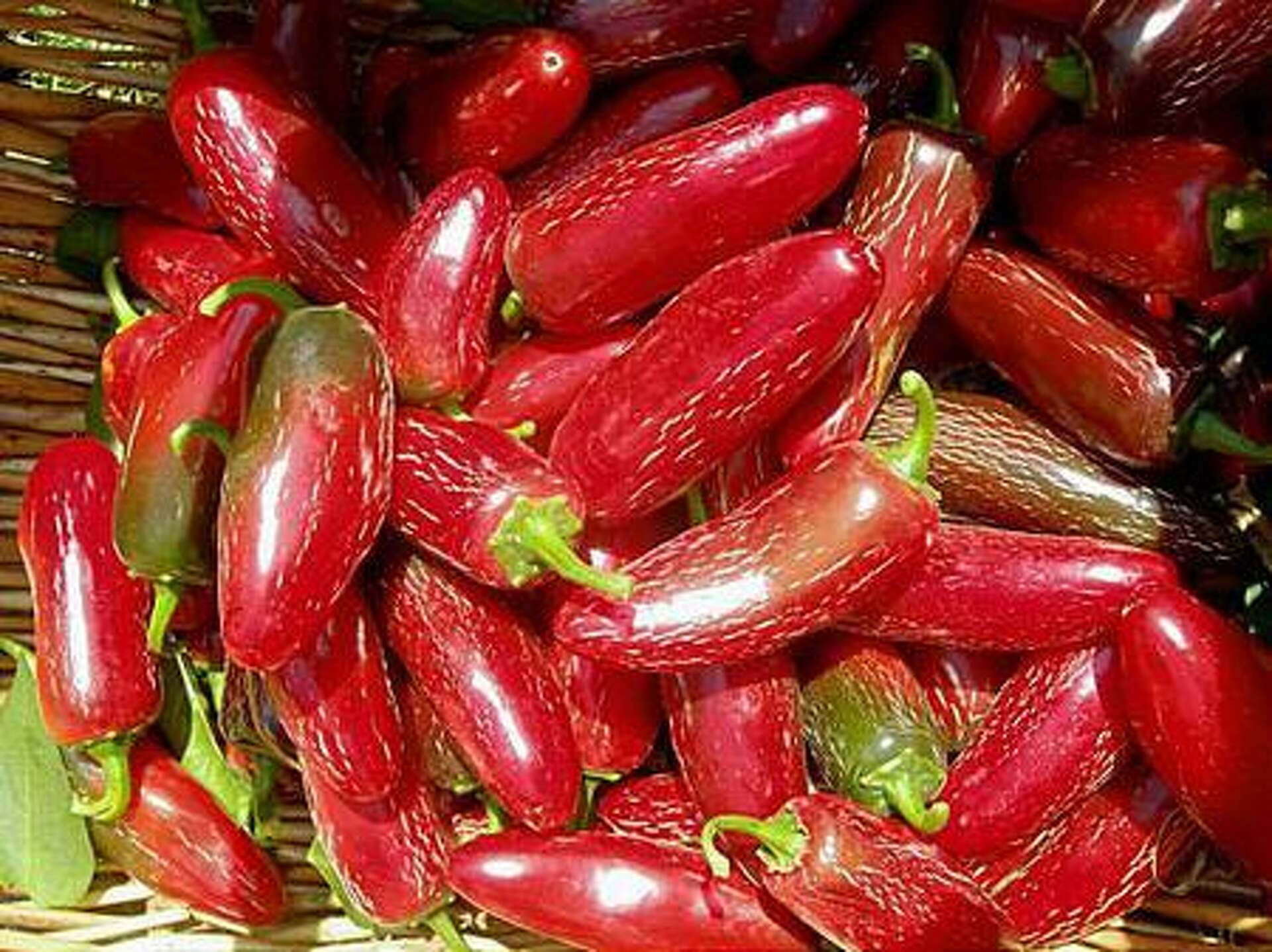 10 Maya foods that changed the world's eating habits