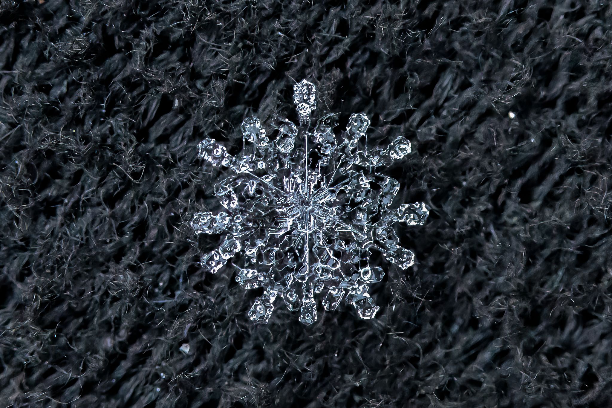 Exploring the structure of snowflakes