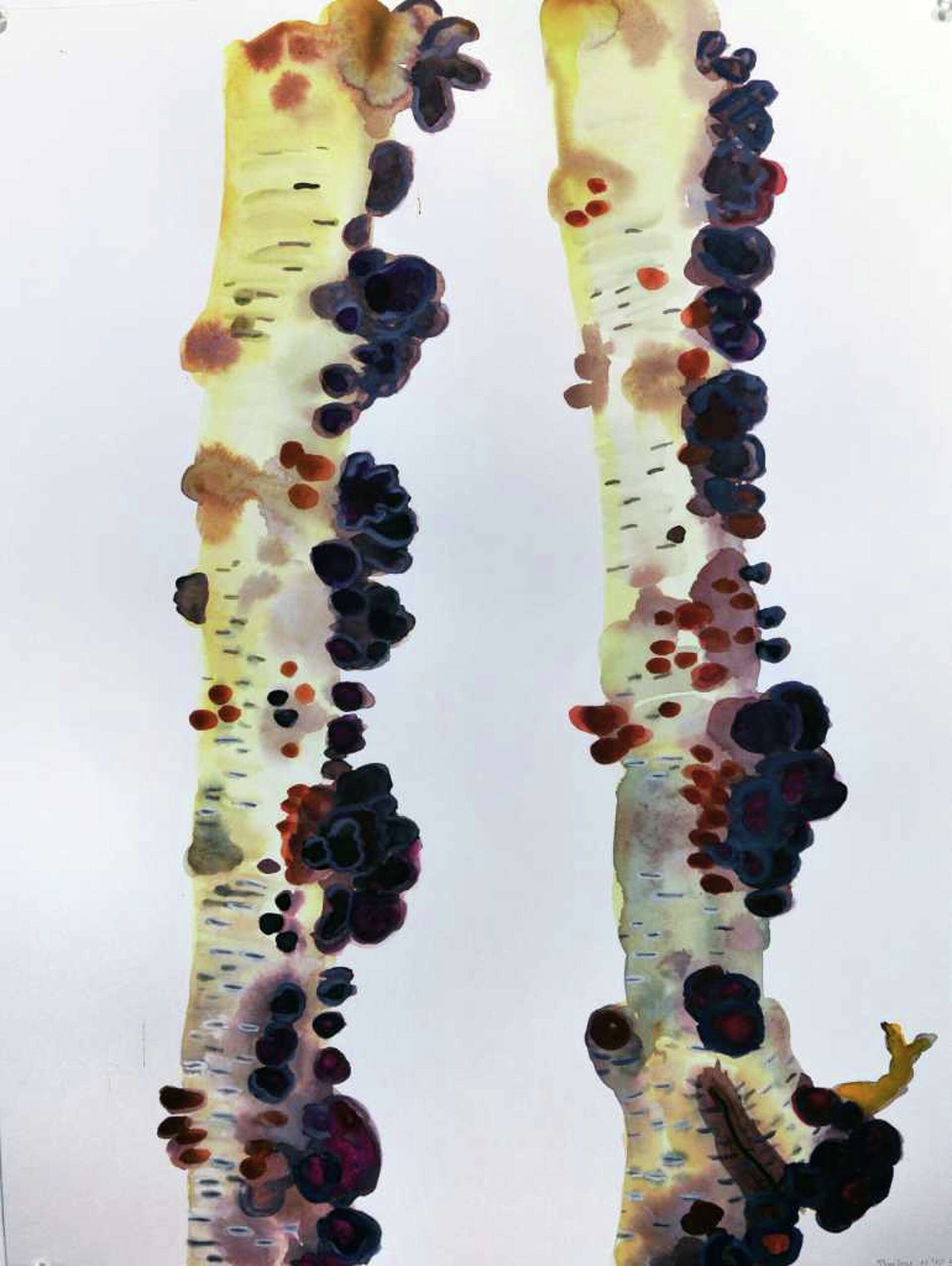 Artist Katie DeGroot branches out with water colors
