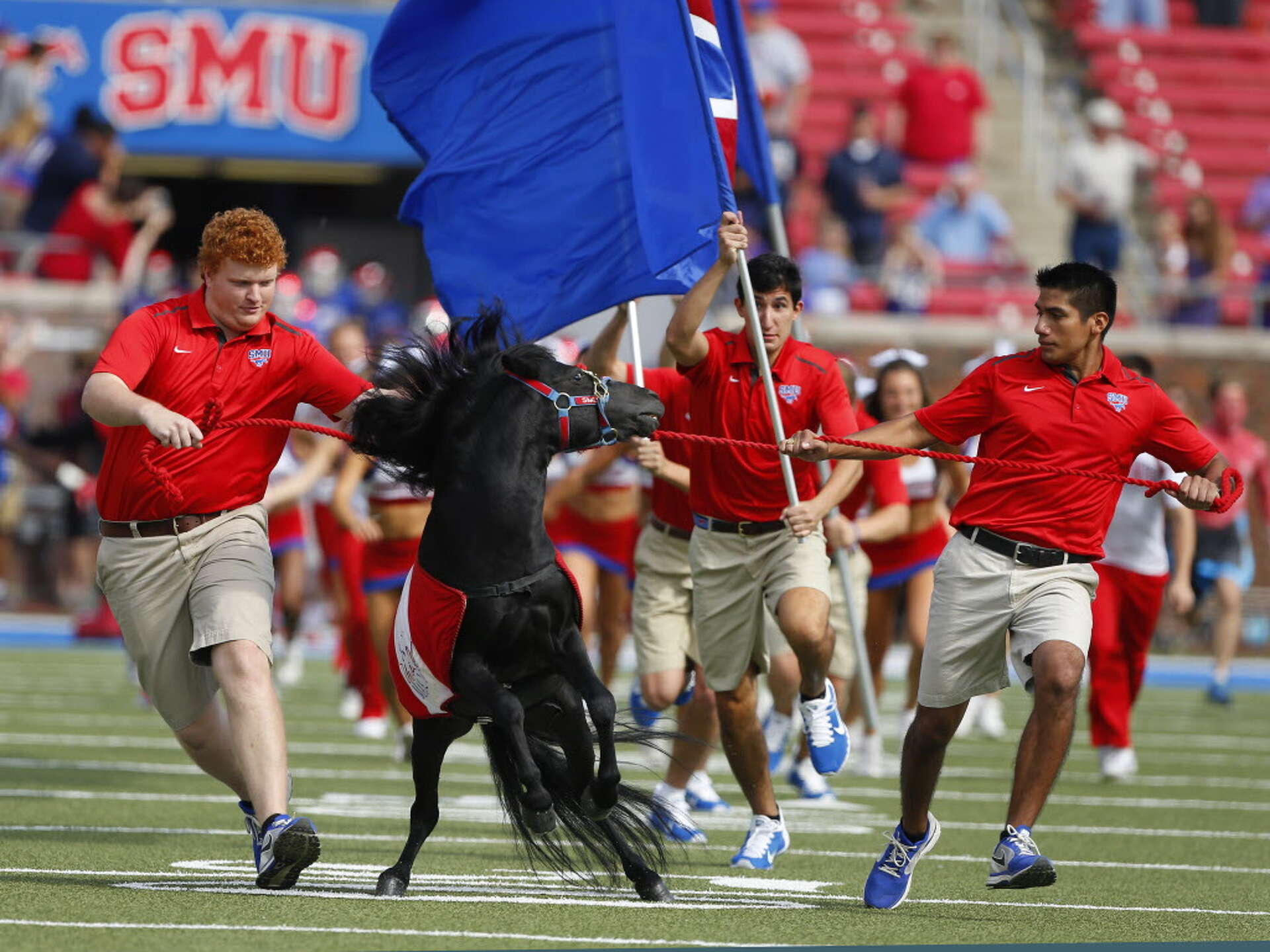 SMU football: History of Mustangs' black Shetland pony mascot Peruna