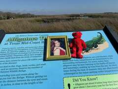 Rebecca Beard disappearance: Texas family marks 40 years with walk