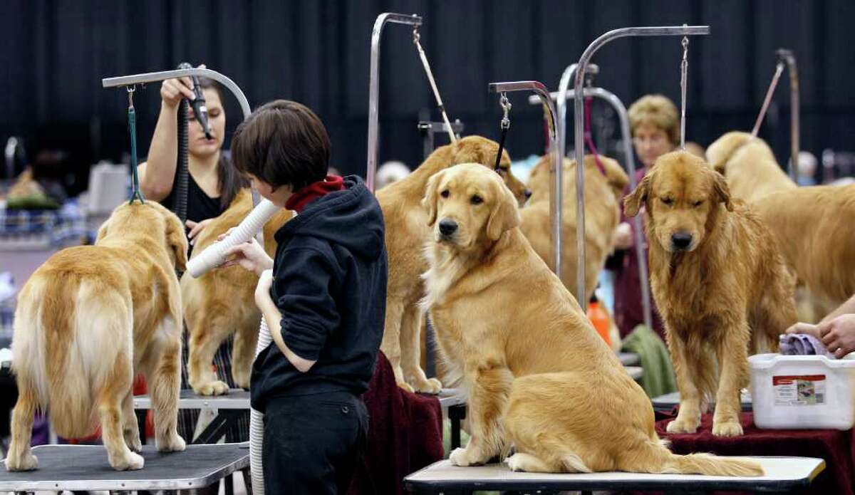 2010 Crown Classic Dog Show