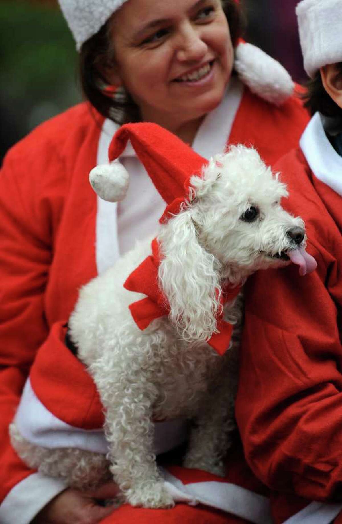 Which Santa do you think is best?