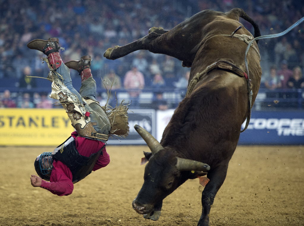 Photos: 'Real' Cowboys show up at AT&T Stadium; some sent flying in ...