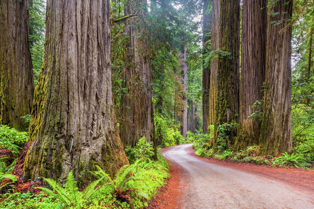 Trump order prompts Calif. national park to flag 9 books for banning
