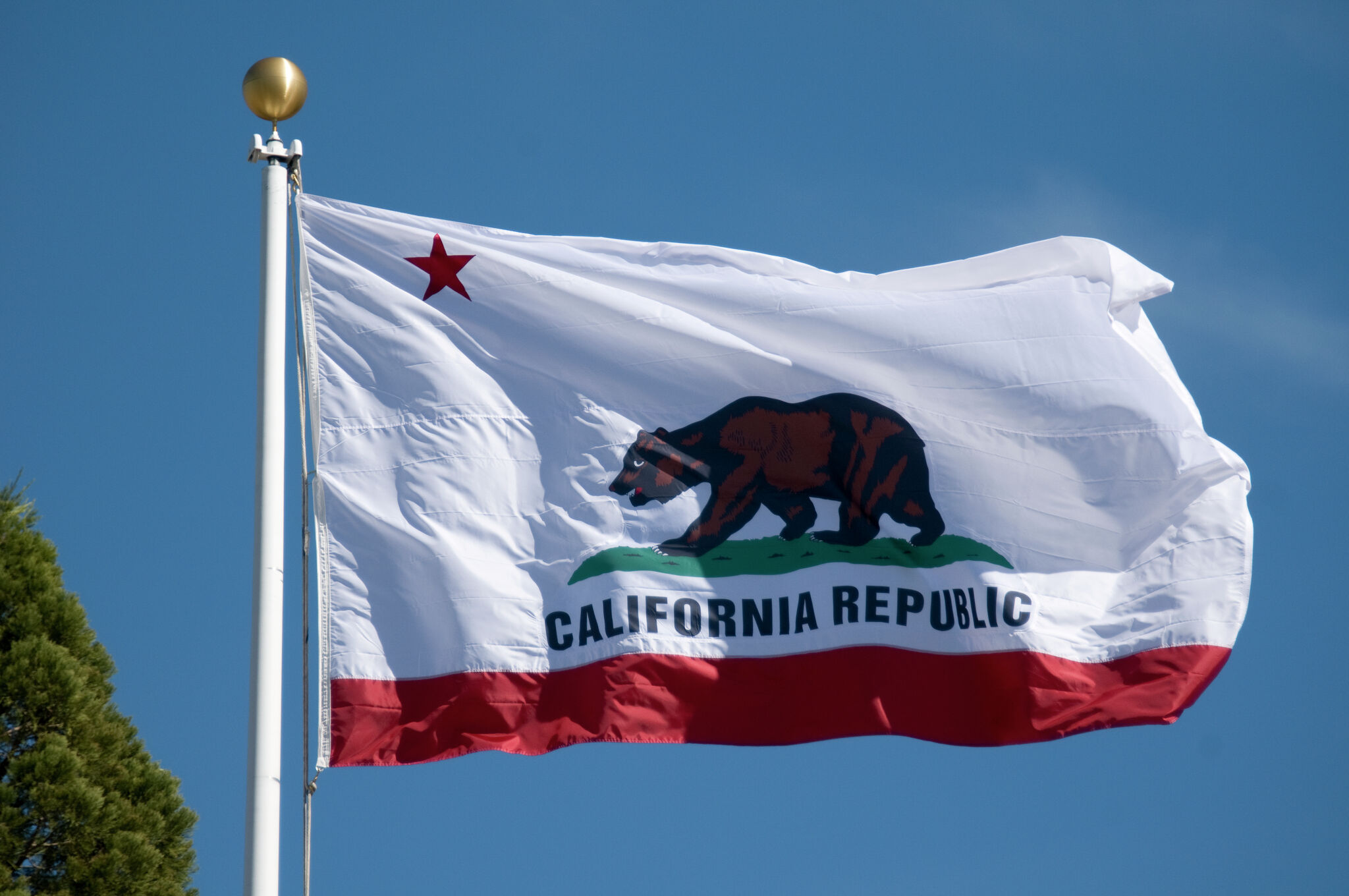 Swalwell exit jolts California governor's race, new poll reveals shift