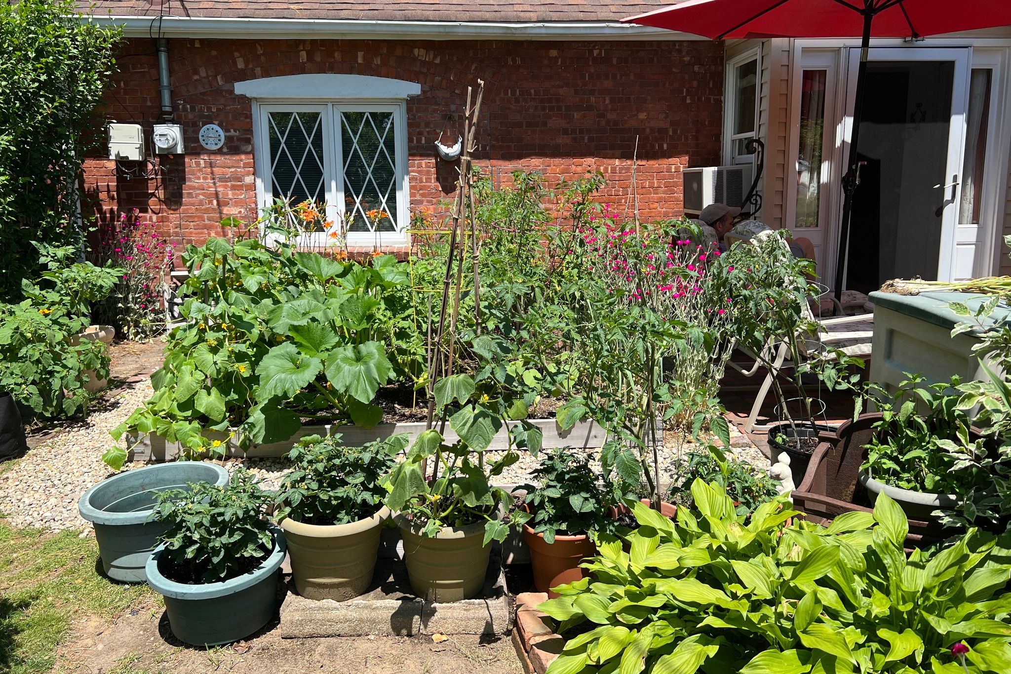 Nobody said vegetable gardens must be in the backyard. Put them out ...