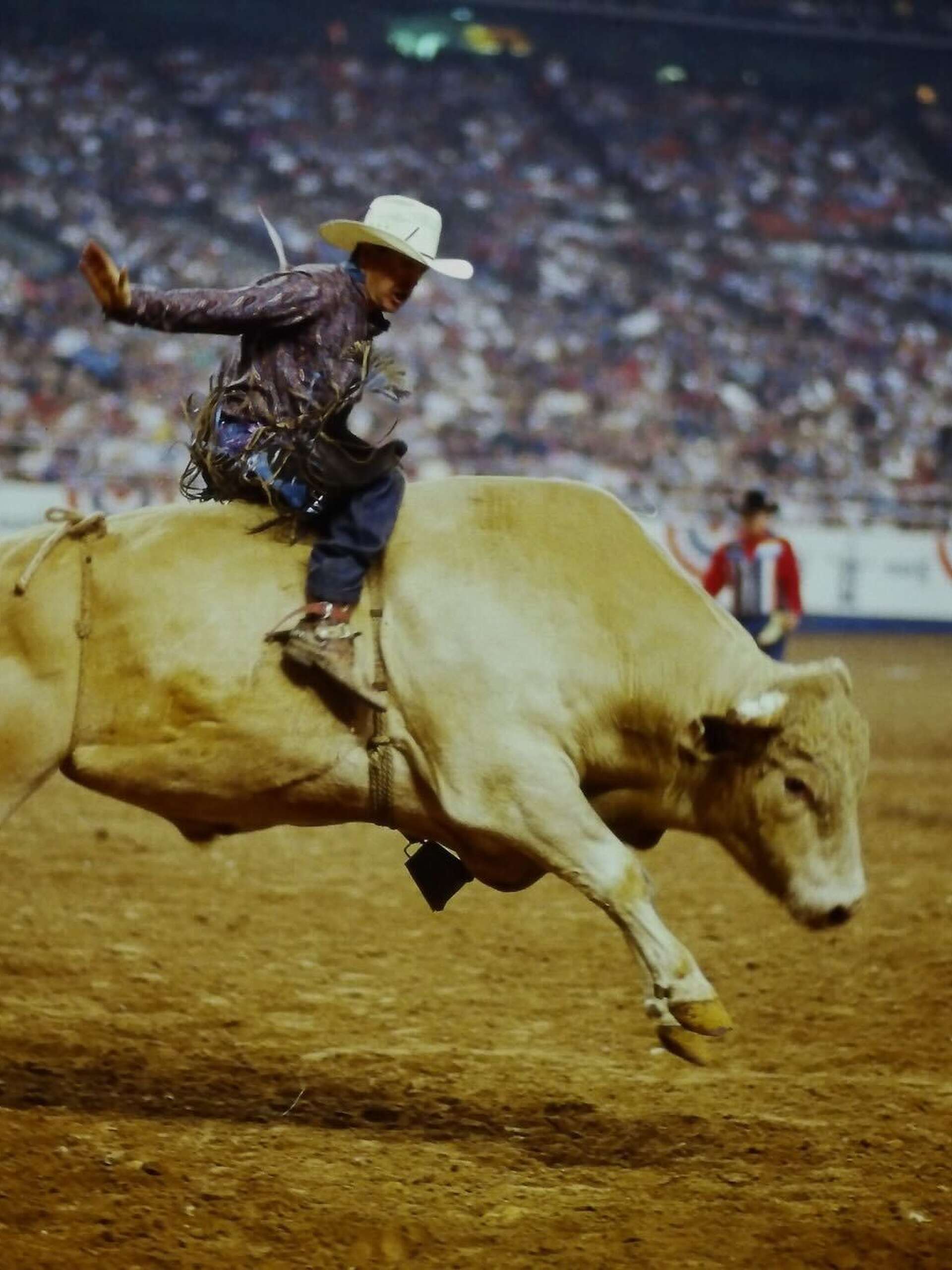 RodeoHouston honors bull as first animal in Hall of Fame class