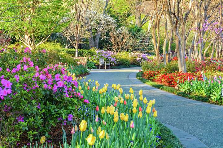 Fun things to do in Dallas-Fort Worth for the week of March 13-March 19