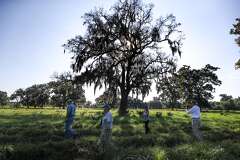 Texas Gulf Coast community denies tax relief for data center