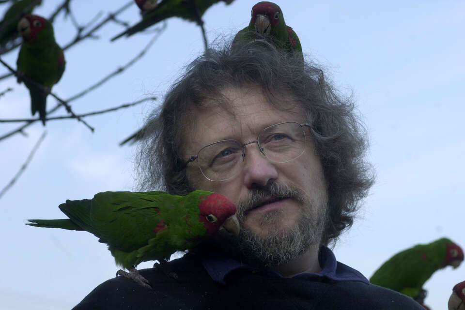Mark Bittner, champion of S.F.’s wild parrots, dies at 74