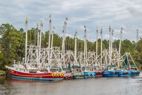 Dire news as US Gulf shrimping revenue dives $232 million