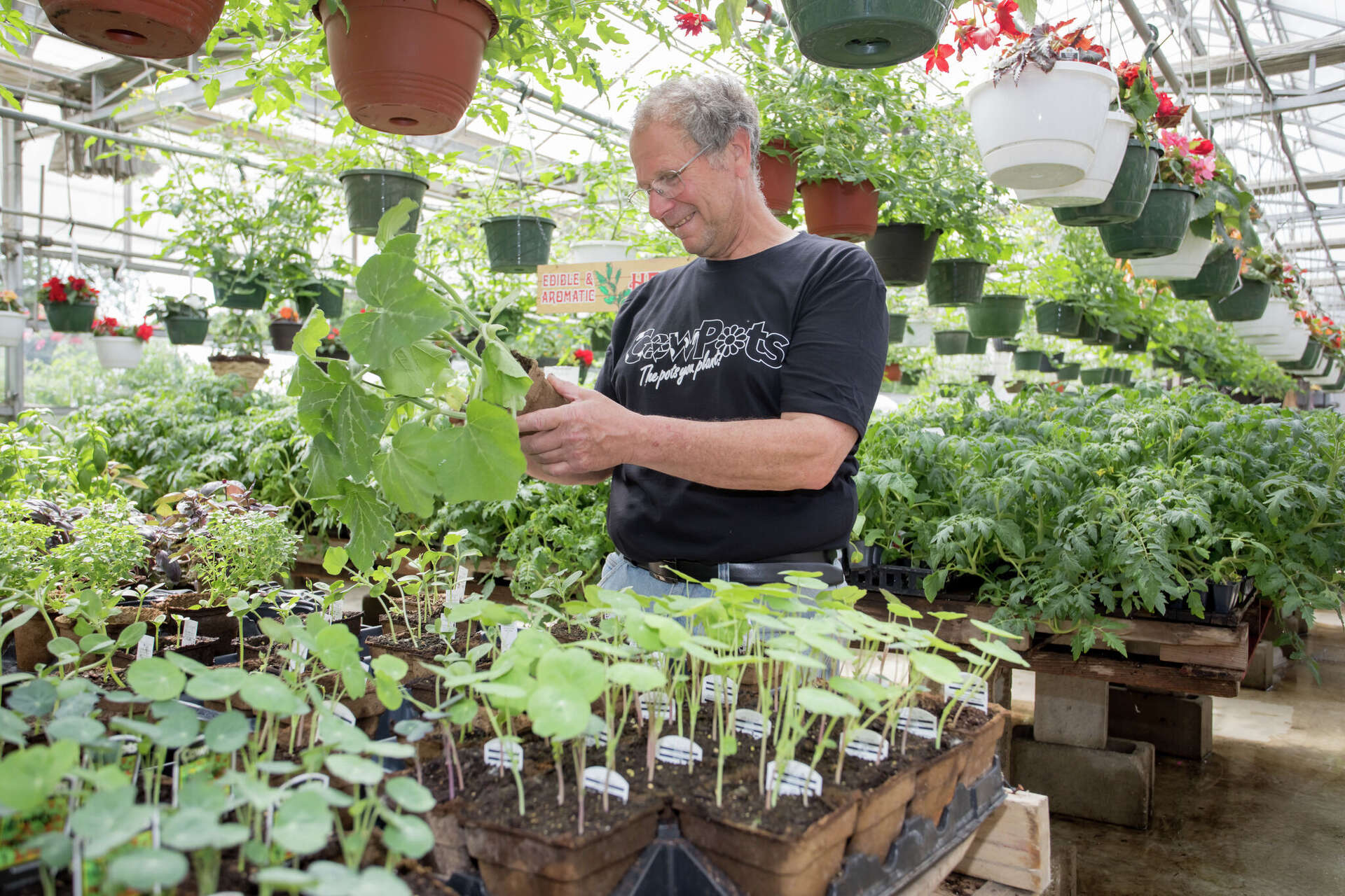 After ‘Shark Tank’ deal, CT farmers look to make paper from cow manure