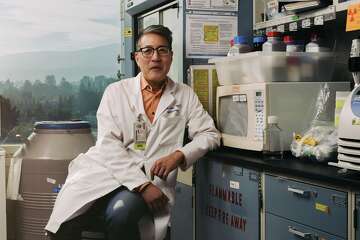 Stanford scientists searching for ways to prevent kidney stones