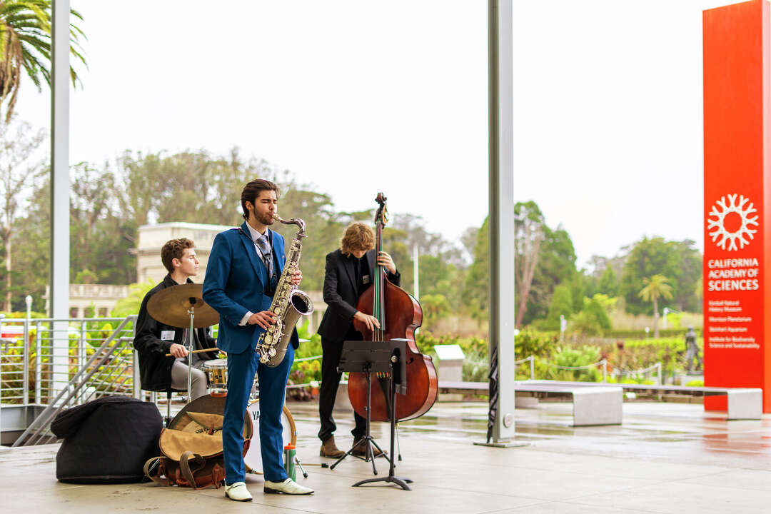 California Academy of Sciences hosts pay-what-you-can Academy Day