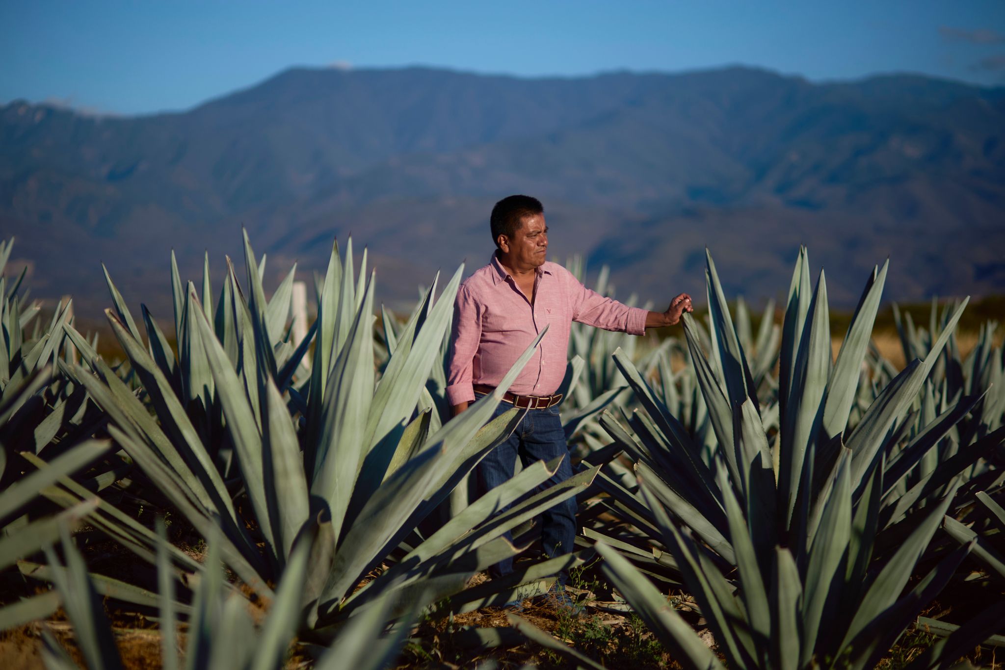 Mezcal producers in Oaxaca pose for photos while reflecting on economic ...