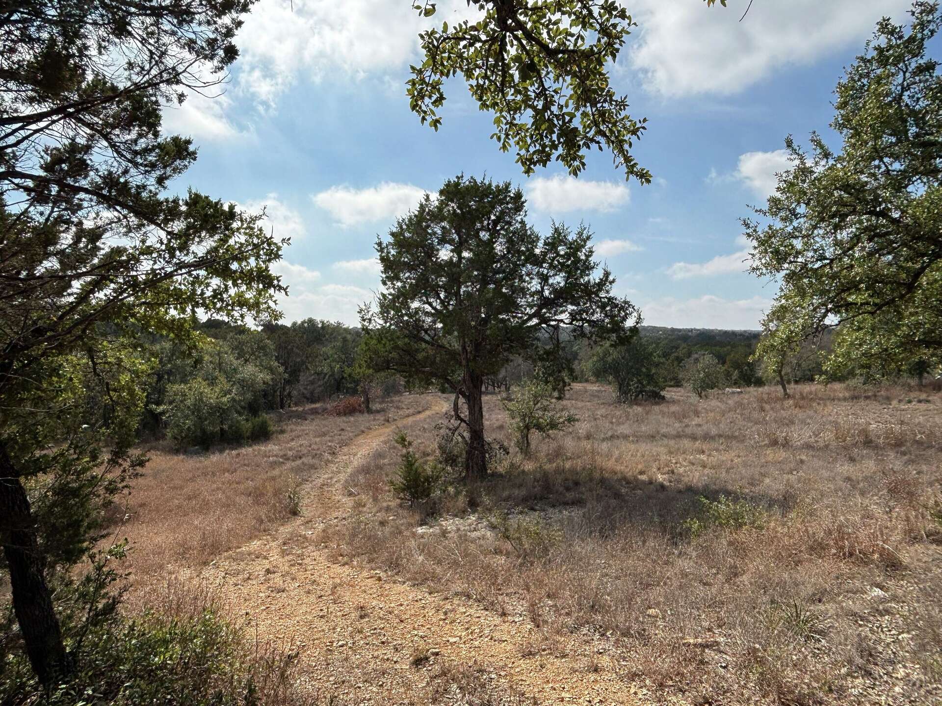 175-acre Hill Country nature preserve soon to make its debut