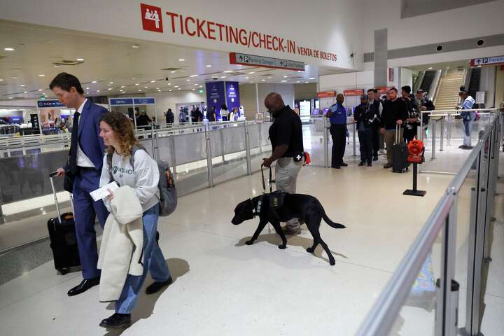 Here are the TSA Wait Times at DFW International Airport and Dallas ...