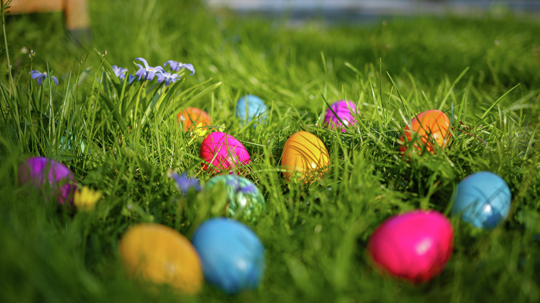 More than 3,000 eggs, multiple hunts planned for Easter weekend