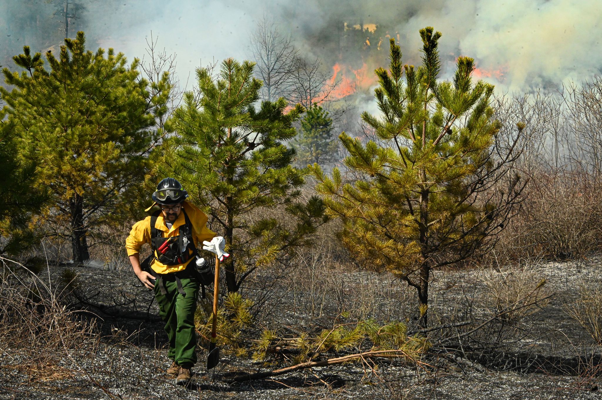 Kamala Harris endorses Jasmine Crockett in Texas Democratic Senate primary
